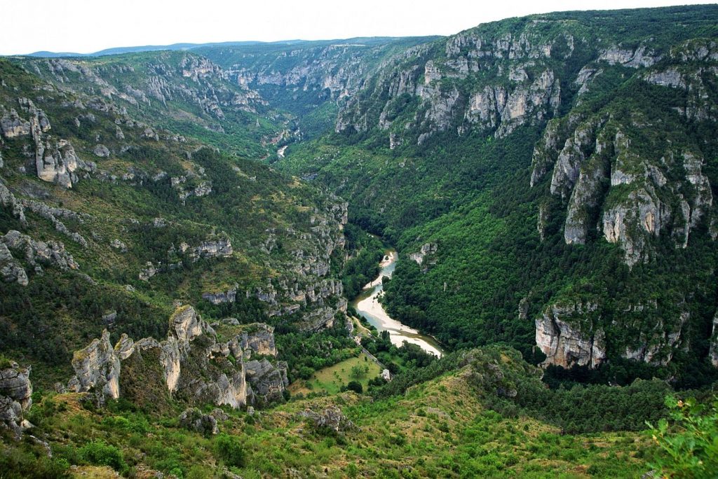 Parc National des Cévennes 3 - Apum
